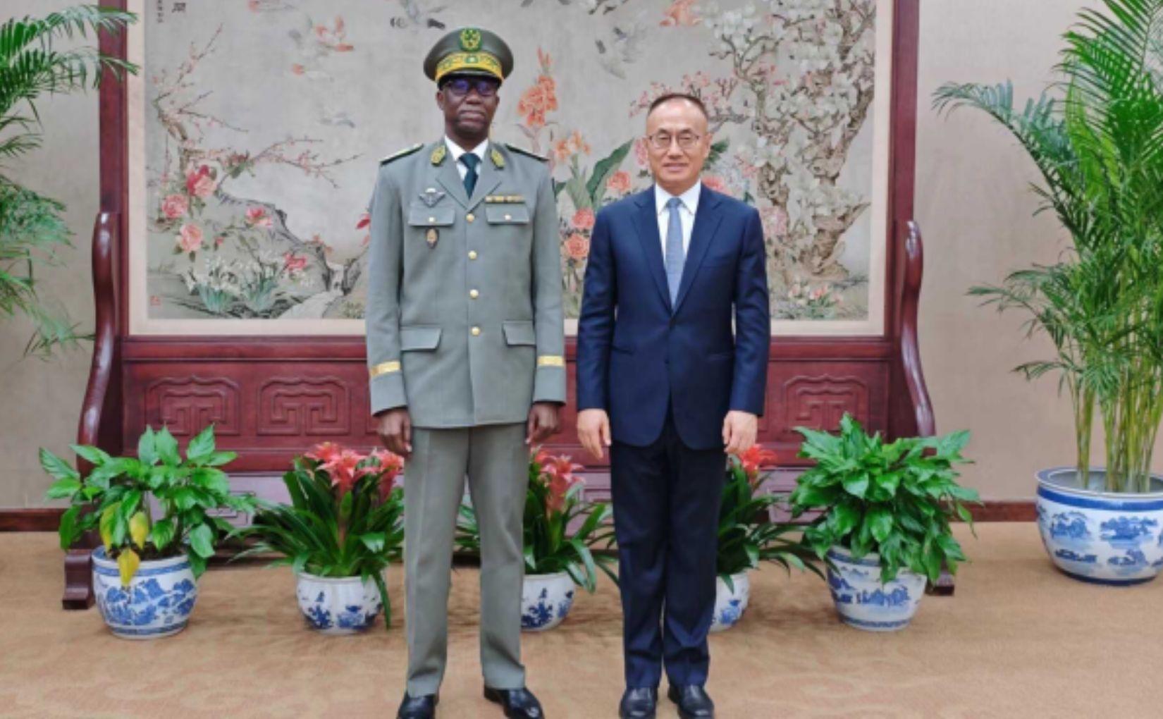 China to work with Niger to deepen cooperation - Friends of Socialist China